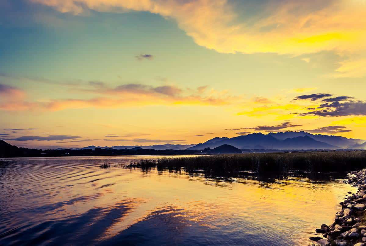 Shipping process with realtime-tracking - See-Plastik GmbH